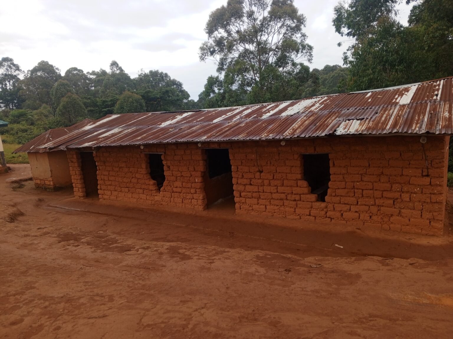 Peaks of beauty, valleys of anguish: Inside dark side of Mambilla