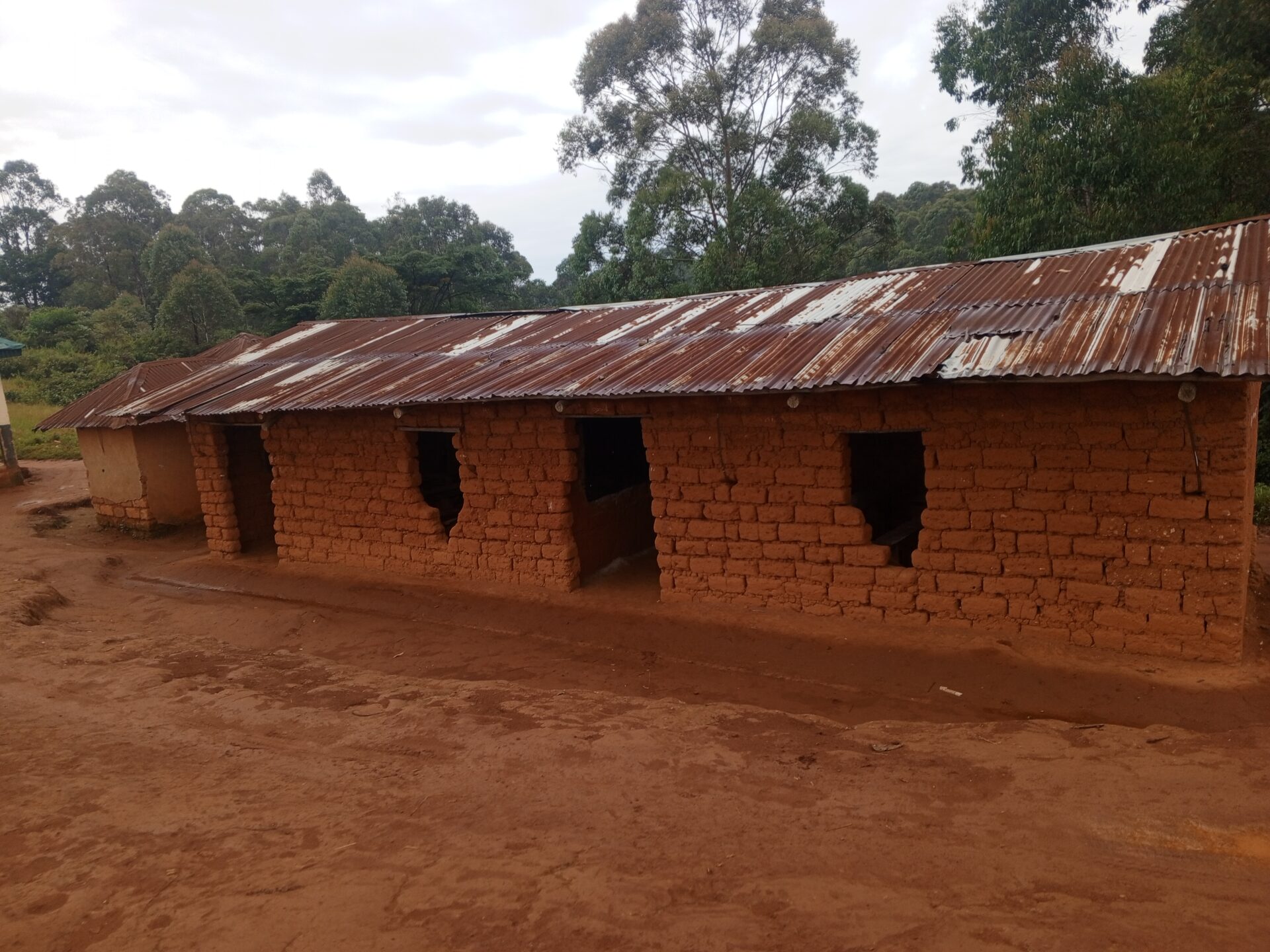 Peaks of beauty, valleys of anguish: Inside dark side of Mambilla