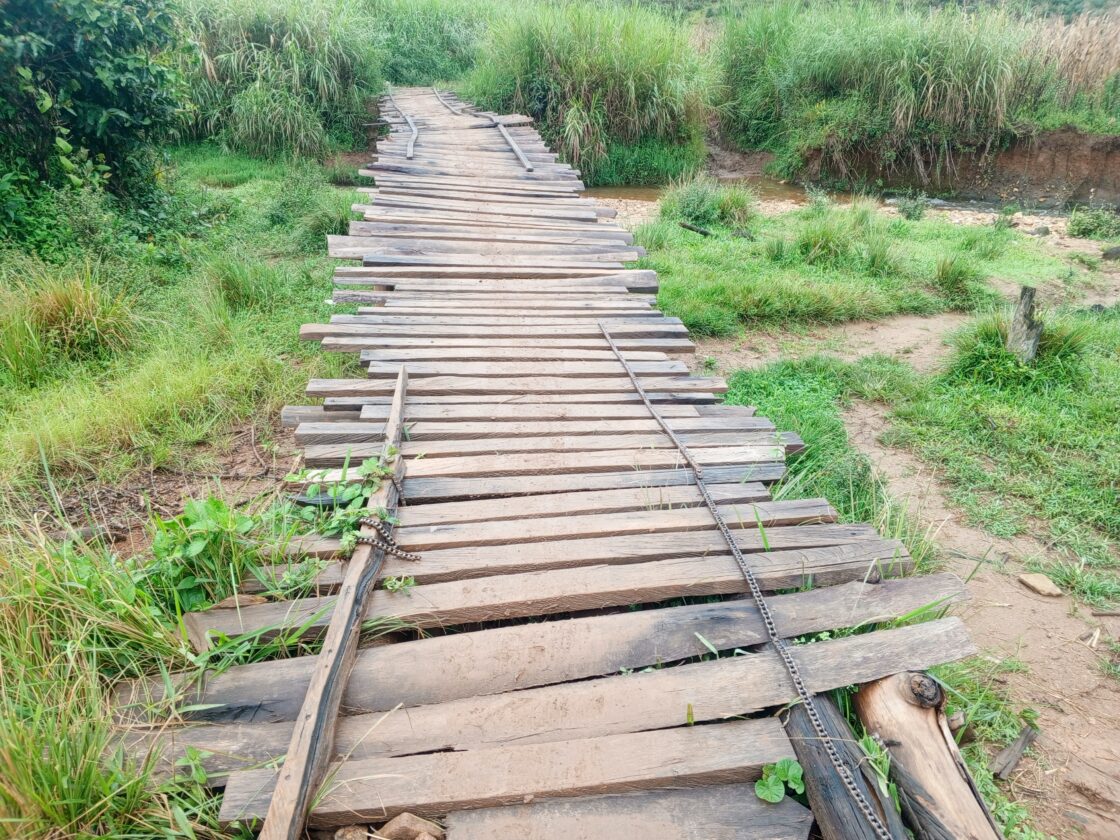 Peaks of beauty, valleys of anguish: Inside dark side of Mambilla